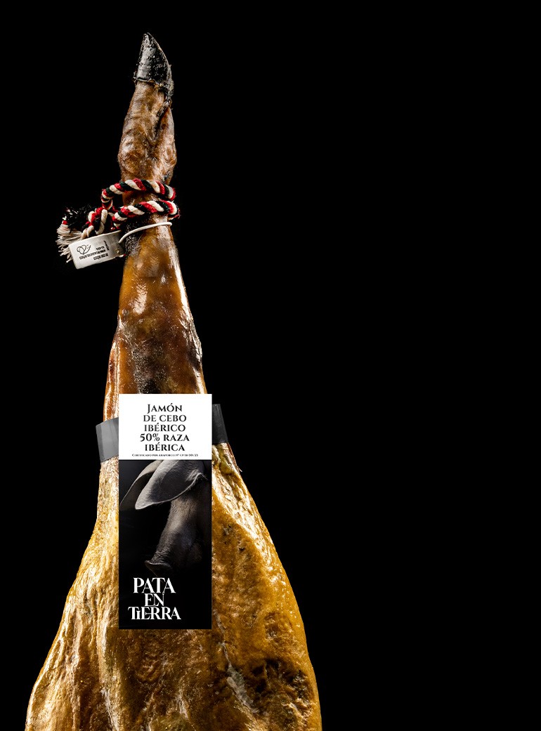 Jamón cebo de campo 50% ibérico